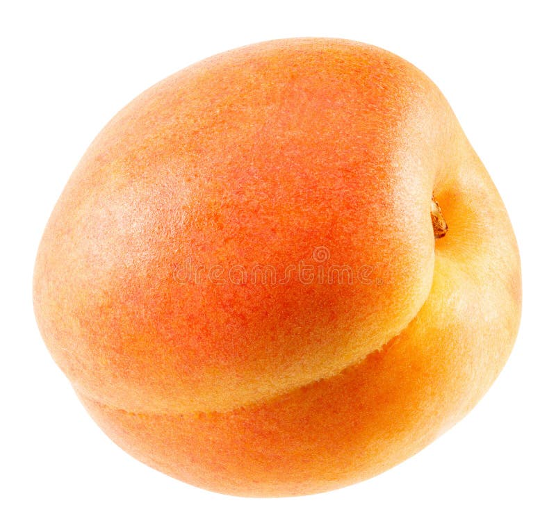 Apricot Isolated on a White Background Stock Image - Image of season ...