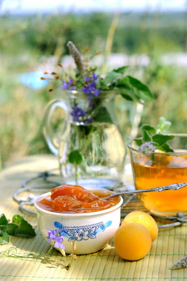 Summer tea time stock photo. Image of natura, apricot - 15411026