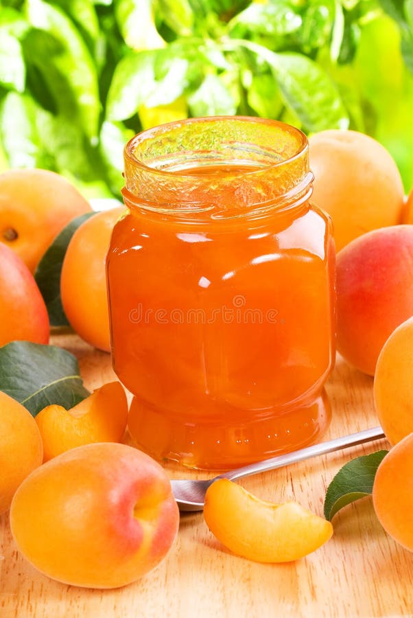 Apricot jam stock photo. Image of still, life, orange - 25464888