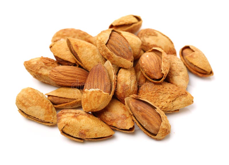 Apricot kernel stock image. Image of apricot, almond - 135341375