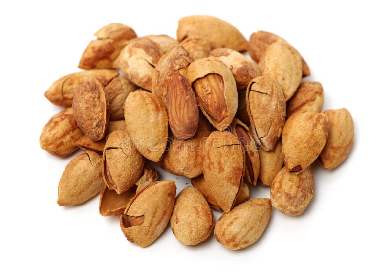 Apricot kernel stock photo. Image of healthy, snack - 149709162