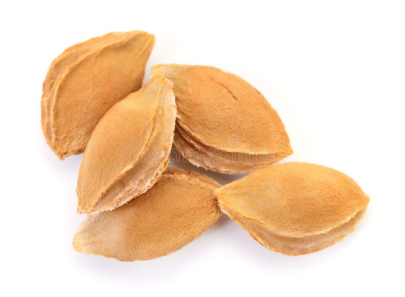 Kernel Isolated on White Background. Stock Photo - Image of seed, fruit ...