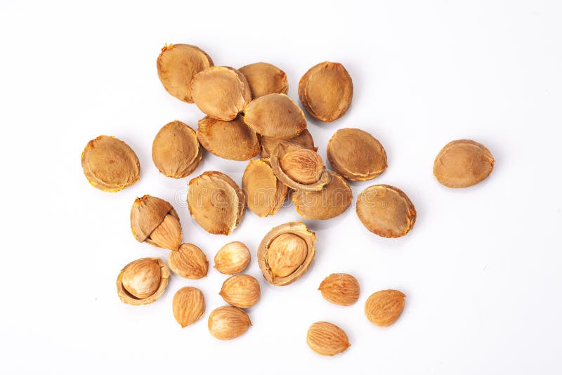 Apricot Kernel Isolated on White Background. Ecologic Food. Stock Image ...