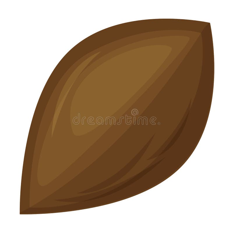 Apricot Kernel Illustration Stock Illustrations – 322 Apricot Kernel ...