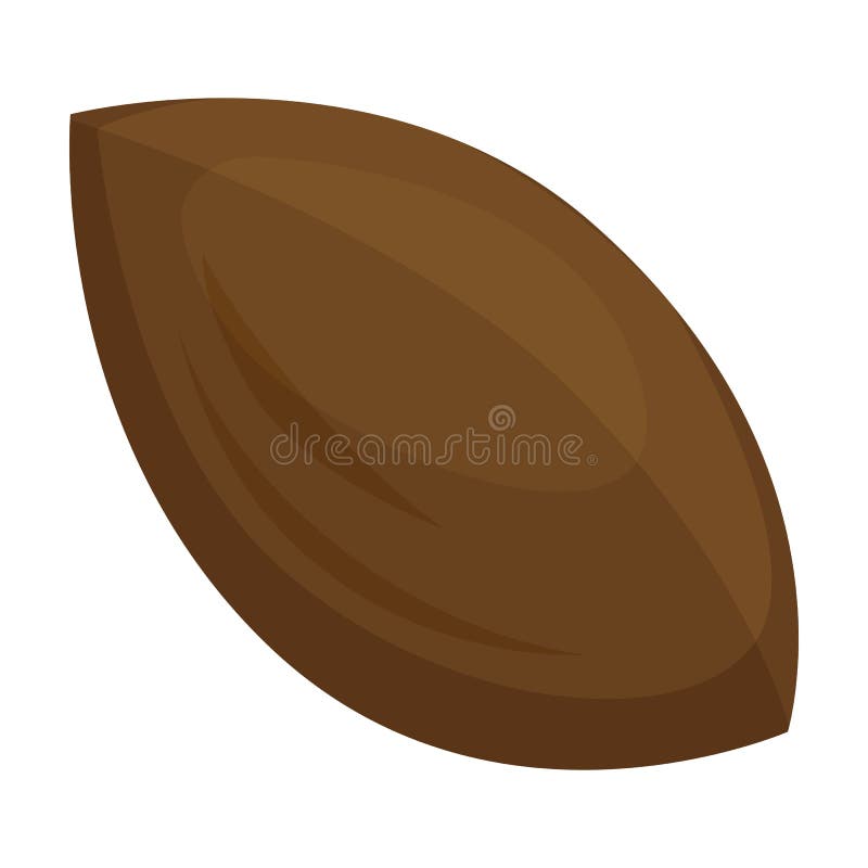 Apricot Kernel Illustration Stock Illustrations – 322 Apricot Kernel ...