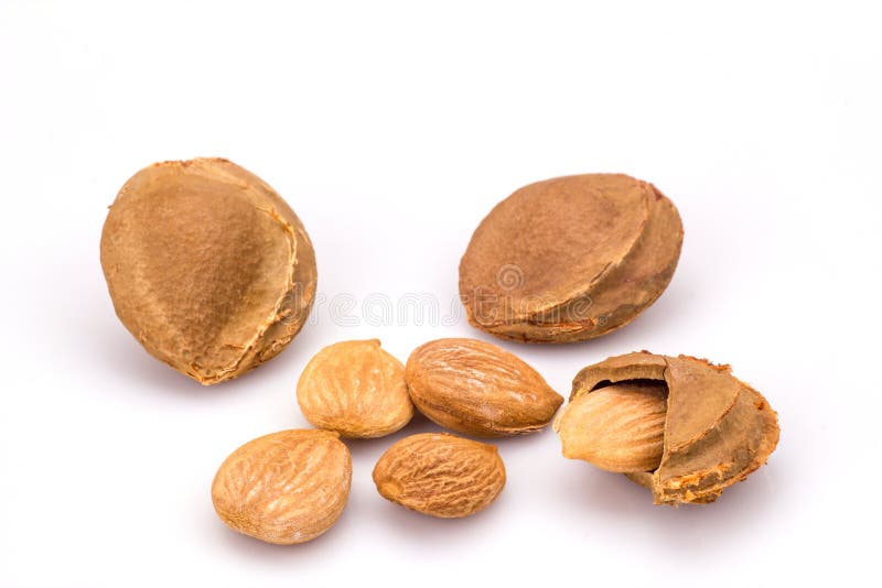 Apricot Kernel Isolated on White Background. Ecologic Food. Stock Image ...