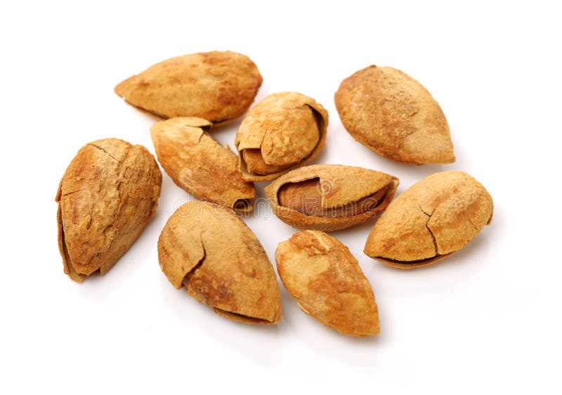 Apricot kernel stock image. Image of background, colored - 136216599