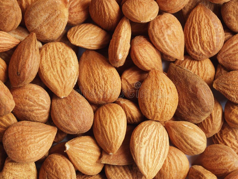 Apricot kernels stock image. Image of wallpaper, brown - 15075323