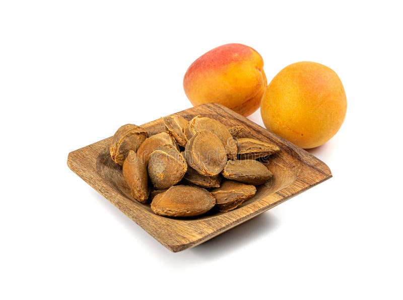 462 Apricot Kernels Seeds Stock Photos - Free & Royalty-Free Stock ...