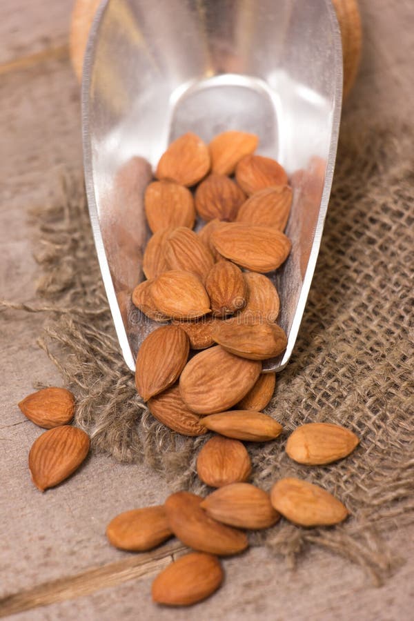 Apricot kernels stock image. Image of texture, heap, yellow - 54396965