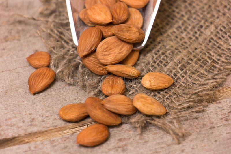 Apricot kernels stock image. Image of texture, heap, yellow - 54396965