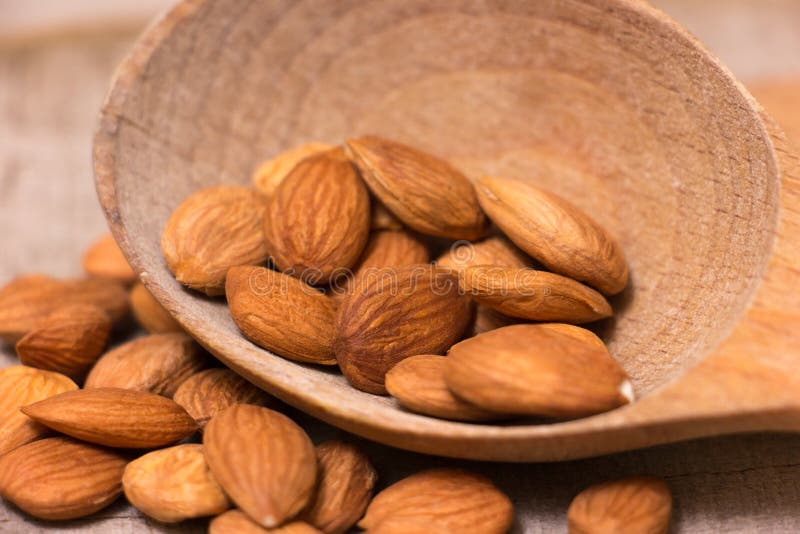 Apricot kernels stock photo. Image of core, seed, group - 63834734