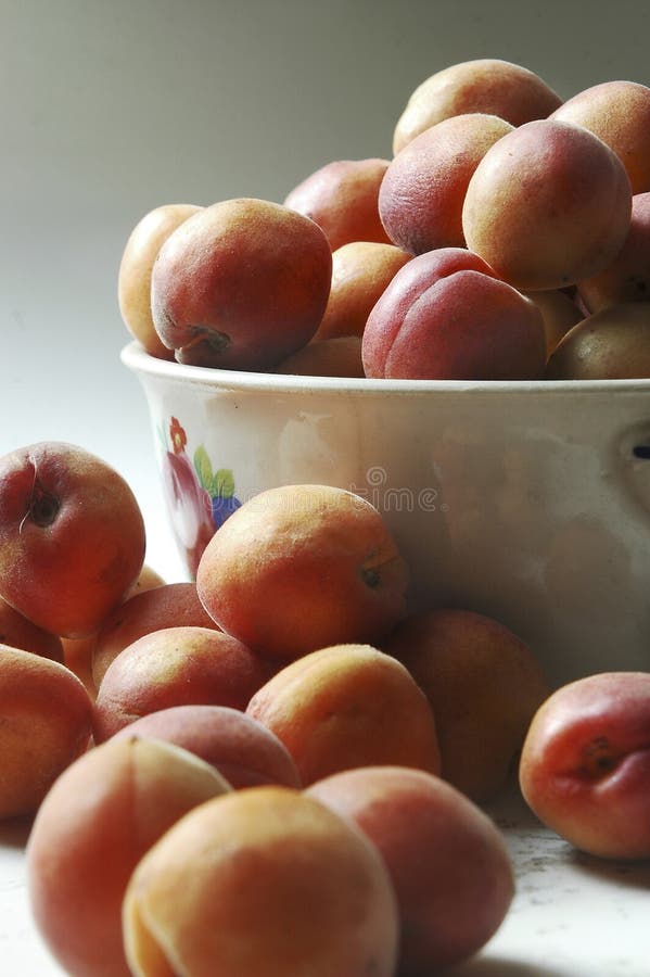 Apricot in the kitchen stock photo. Image of fruit, cake - 1260482