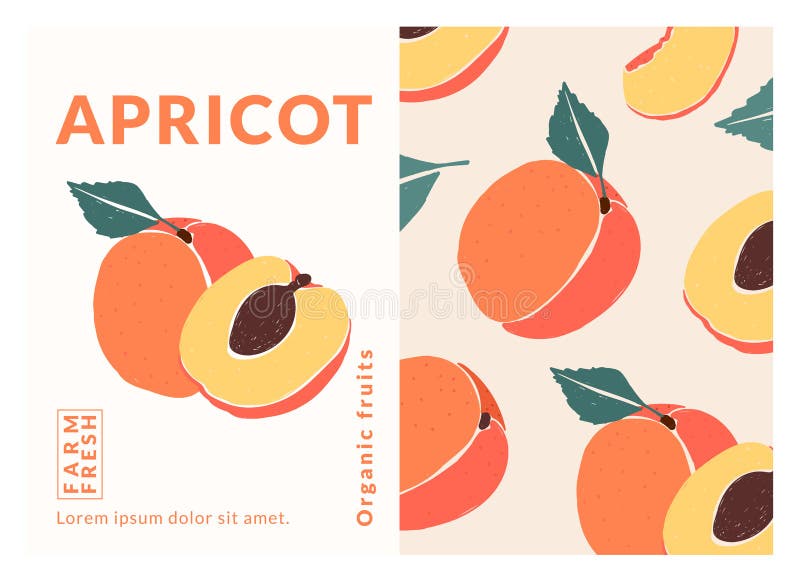 Apricot Label Packaging Design Templates, Hand Drawn Style Vector ...