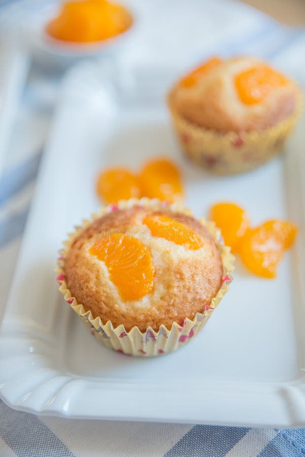 Apricot Muffins stock image. Image of bakery, gourmet - 93614553