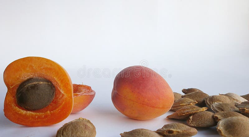 Apricot stock photo. Image of nourishment, liquor, board - 97045706