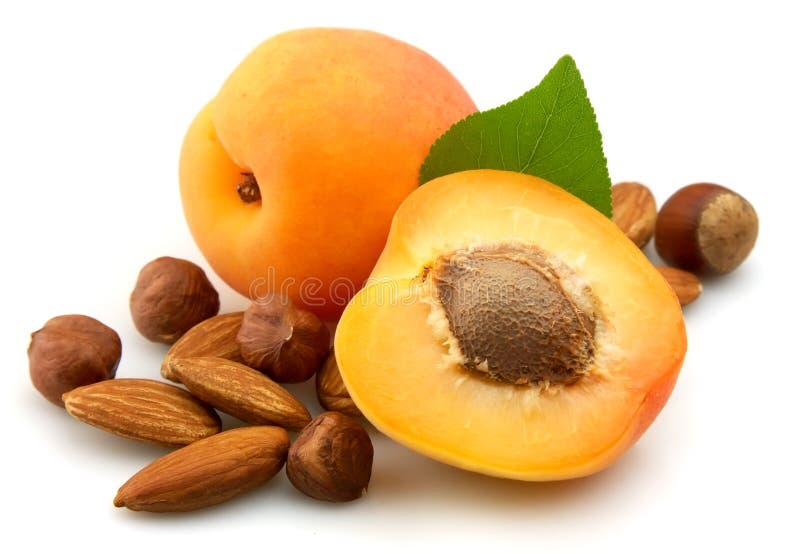 Apricot with nuts stock image. Image of apricot, dried - 20175757