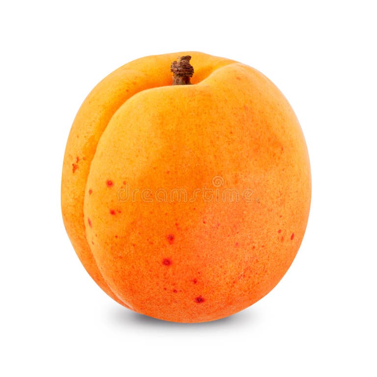 Apricot stock photo. Image of fruit, healthy, food, group - 89324724