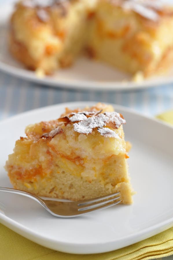 Apricot pie stock image. Image of close, apricot, dessert - 28888009