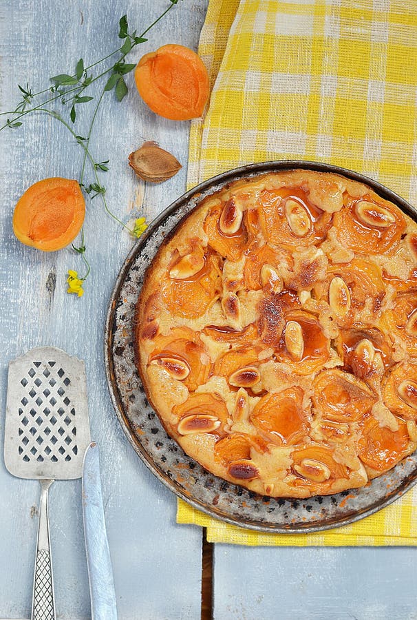 Apricot pie stock photo. Image of meal, gourmet, fruit - 32107472