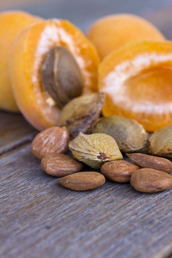 Apricot Fruit Cut Open with Pips and Kernels in the Foreground. Stock ...