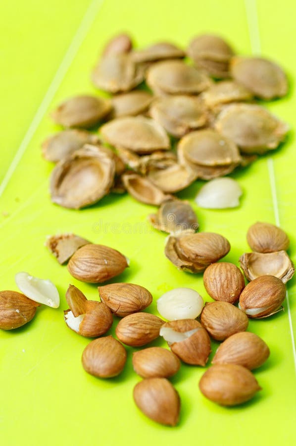 Apricot pits stock image. Image of cyanide, armeniaca - 26554781