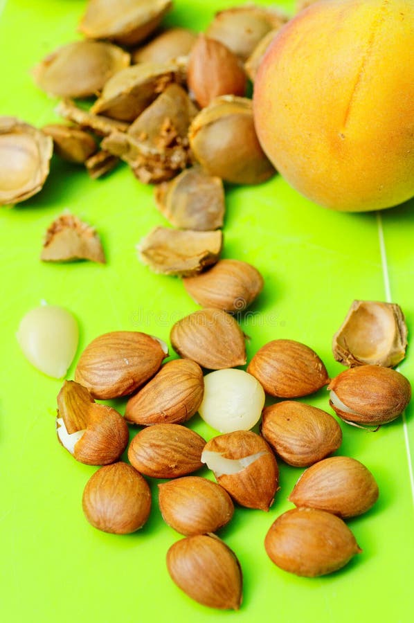 Apricot and pits stock image. Image of ingredient, shells - 26554791