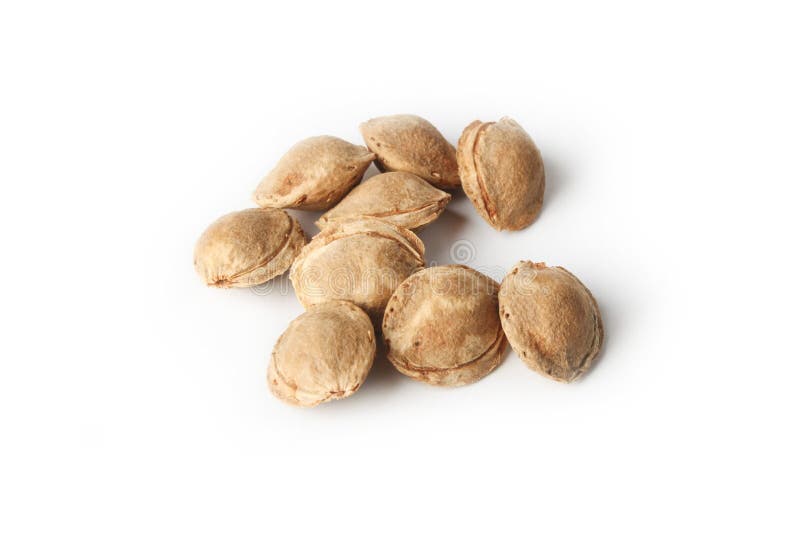 Apricot pits stock photo. Image of plum, pattern, nutritious - 48658238