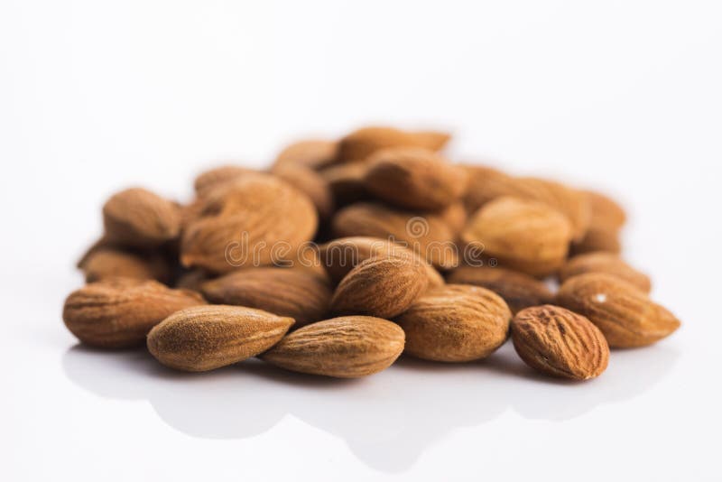 Apricot pits stock image. Image of shelled, white, core - 54292585