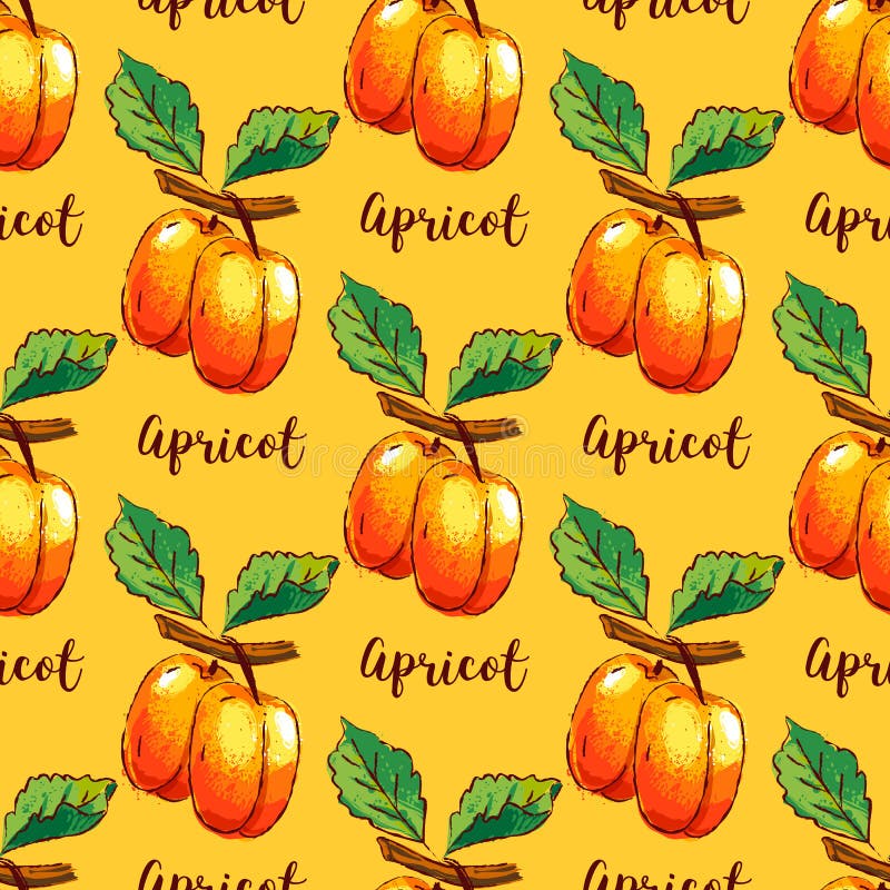 Apricot Repeating Pattern, Hand-drawn Apricots Seamless Pattern ...