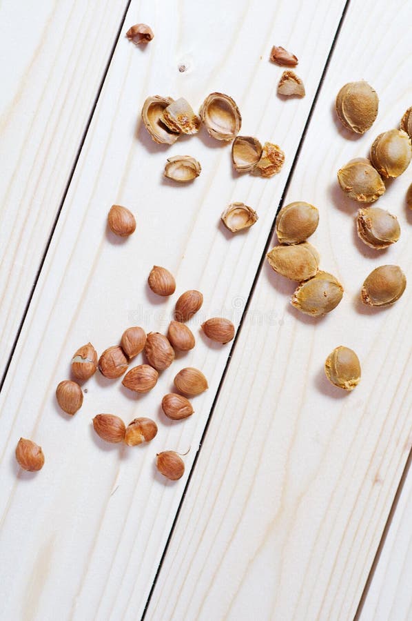 Apricot seeds and shells stock image. Image of rustic - 26567511