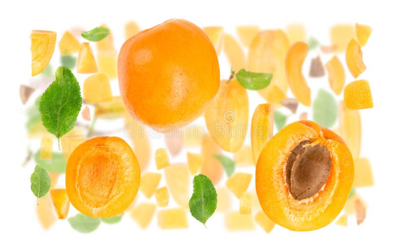 Apricot Slice and Leaf Abstract Stock Photo - Image of defocus ...