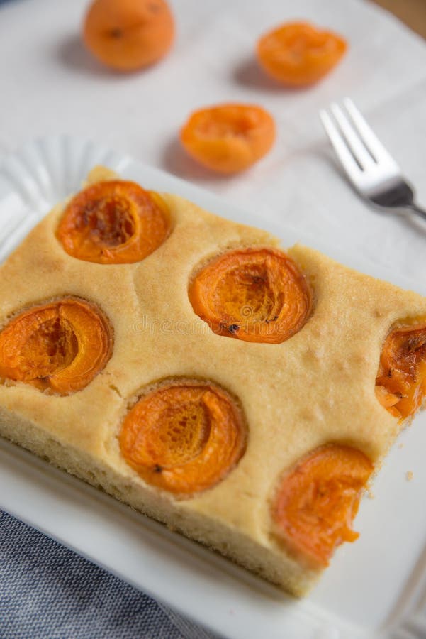 Apricot sponge cake stock image. Image of cooking, dusting - 57367031