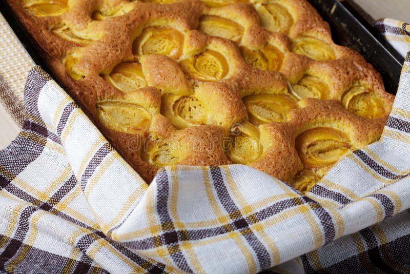 Apricot sponge closeup stock photo. Image of food, copy - 20446964