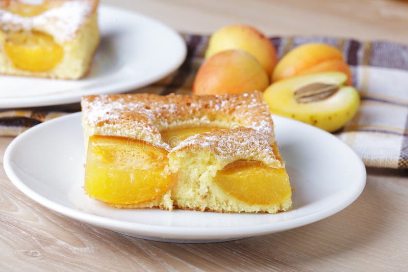 Apricot sponge slice stock image. Image of plate, slices - 20445691