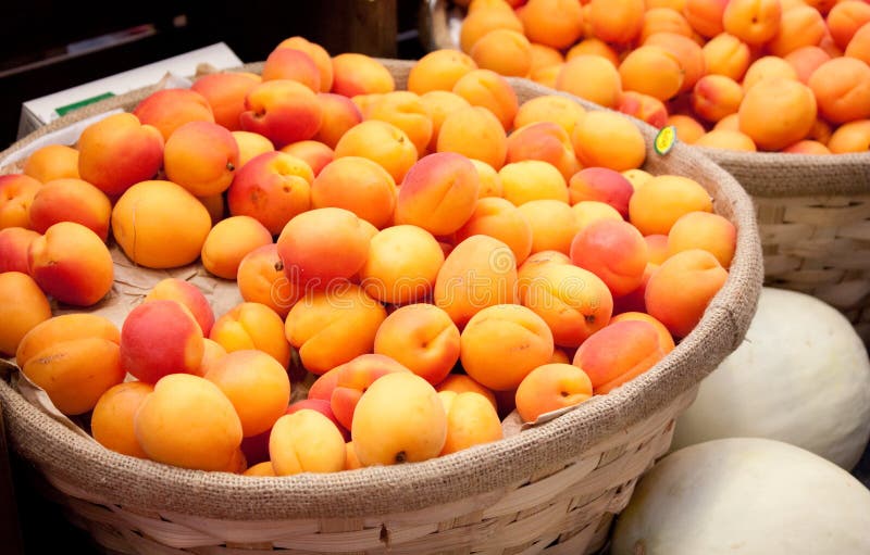 Apricots stock photo. Image of abundance, fruity, healthy - 14280302