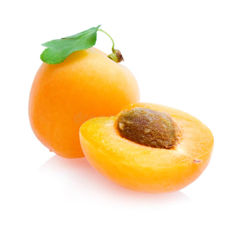 Apricot fruits stock image. Image of still, food, white - 25137397