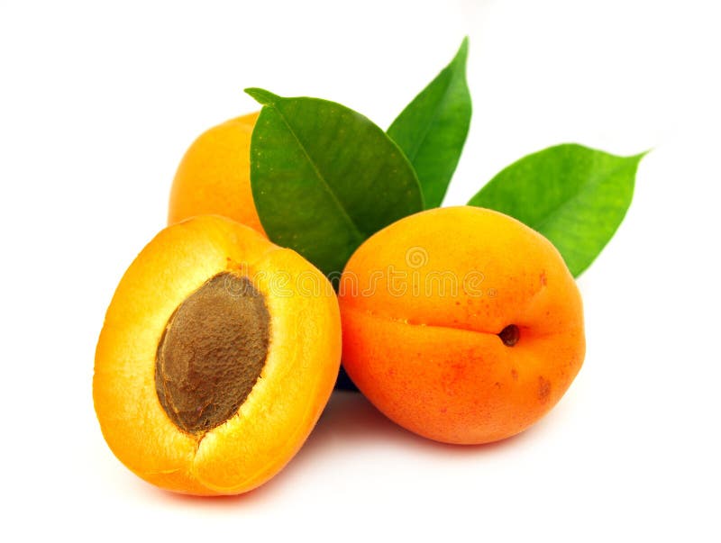 Apricot stock photo. Image of core, apricot, plant, vegan - 10728856