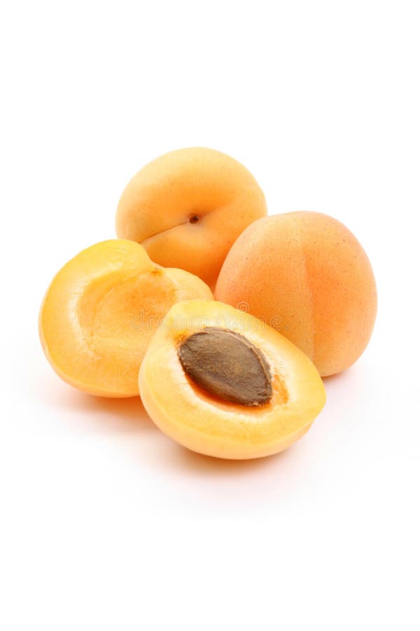 Apricots stock image. Image of tree, outdoors, closeup - 100534857