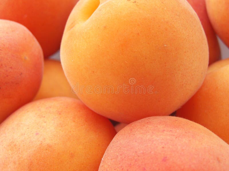 Apricots stock image. Image of tasty, juice, nutrition - 5677315