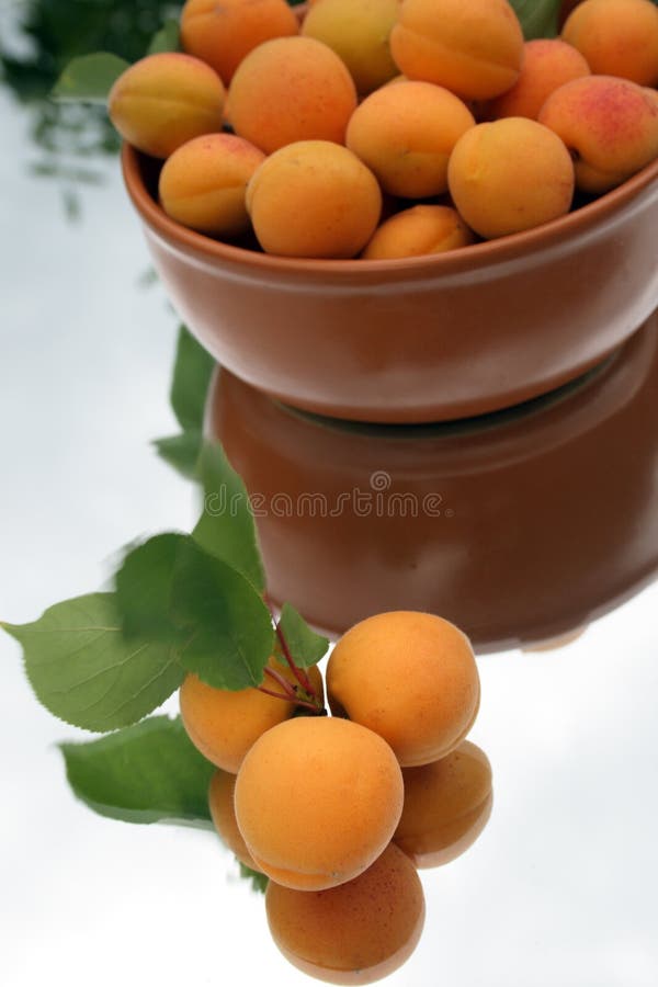 Apricots stock photo. Image of apricot, dessertapricot - 5719622