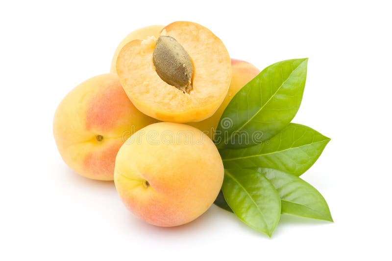 Apricot. stock photo. Image of dessert, nutrition, colourful - 10262334