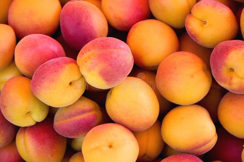 Peach fruits background stock image. Image of pink, color - 20352201