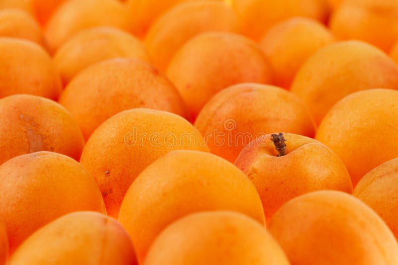 Apricots Background, Full Frame Stock Image - Image of color, season ...