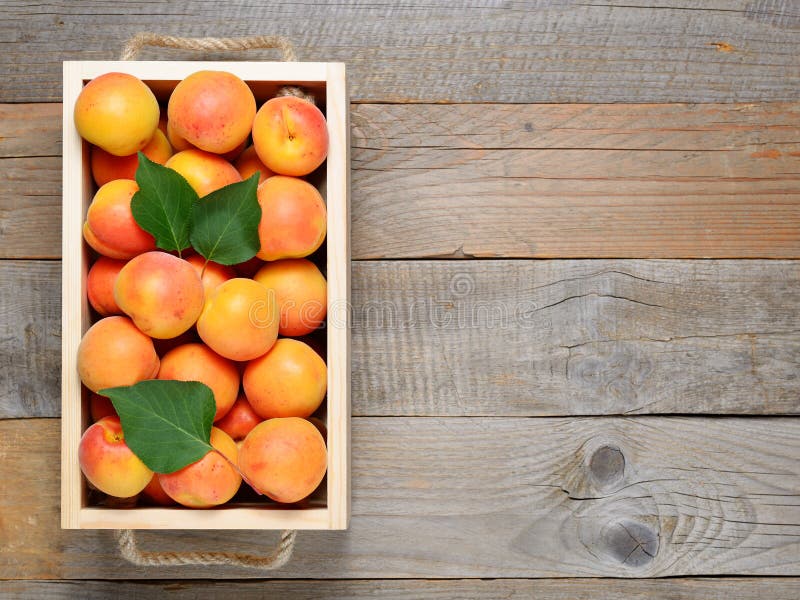 Apricots in box on table stock photo. Image of crop - 121329778