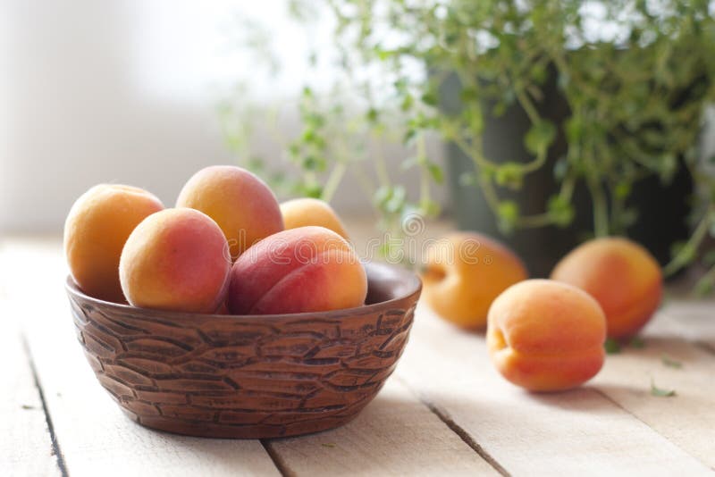 Apricots in Ceramic Cup. Selective Focus Stock Photo - Image of ...