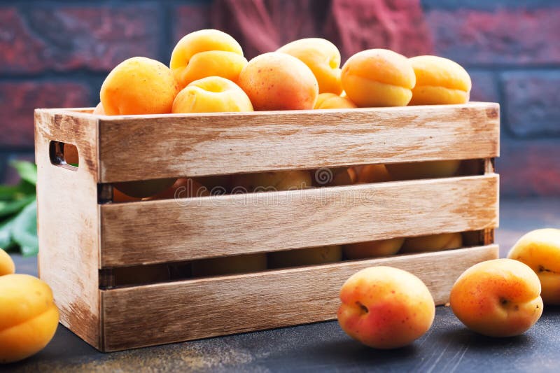Apricots stock photo. Image of isolated, fresh, agriculture - 123925550