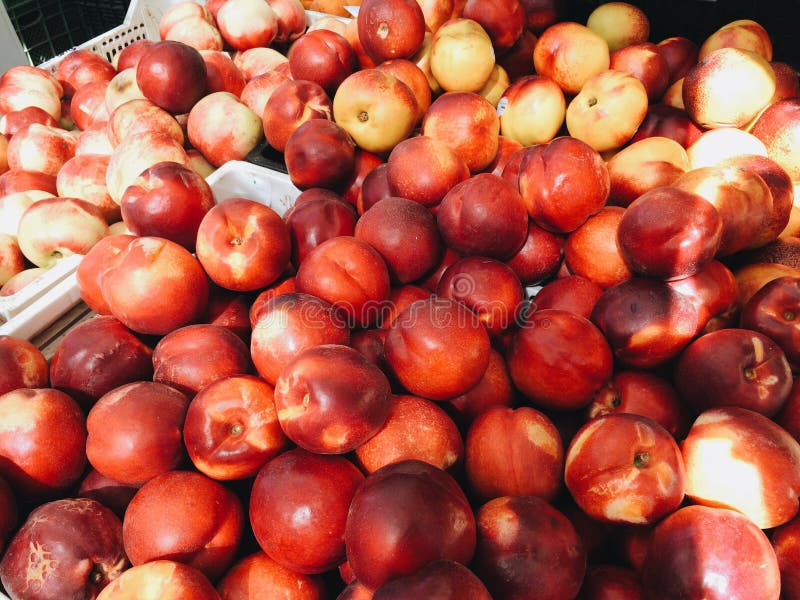 Apricots stock image. Image of display, grocery, fruits - 48945567