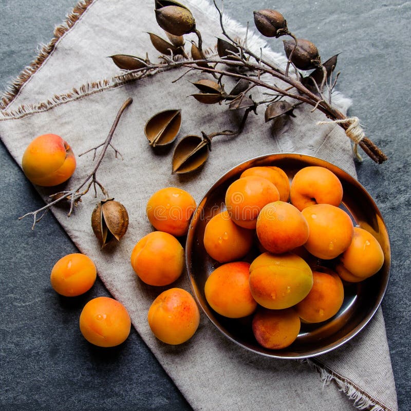 Apricots in a Metal Pial are Stacked Stock Image - Image of aroma ...