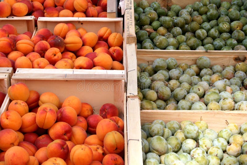 Apricots and Plums at the Market Stock Photo - Image of orange ...